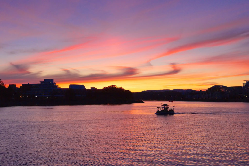 Victoria Market Report – Dan Silburn | Real Estate